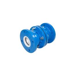 Aqua Check 65mm Cast Iron Double Non Return Valve